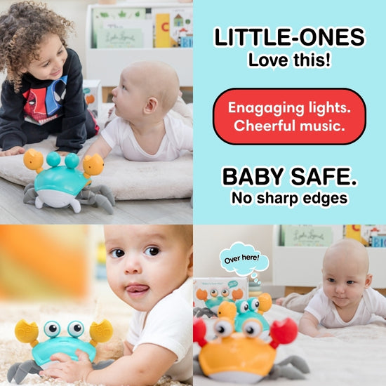 The Crawly Crab™ Toy – Crawly Craby