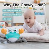 The Crawly Crab™ Toy – Crawly Craby