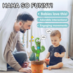 Dancy Cactus™️ – Crawly Craby